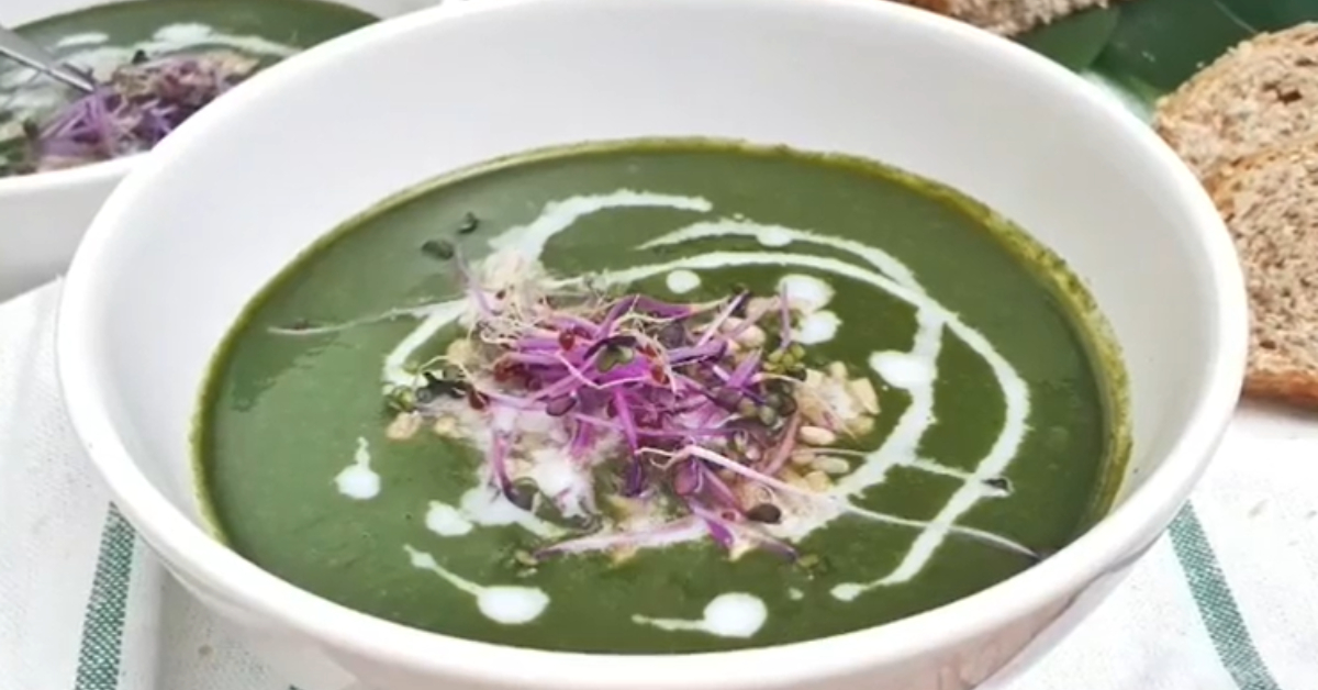 Receta de crema de espinacas: una comida rica y saludable