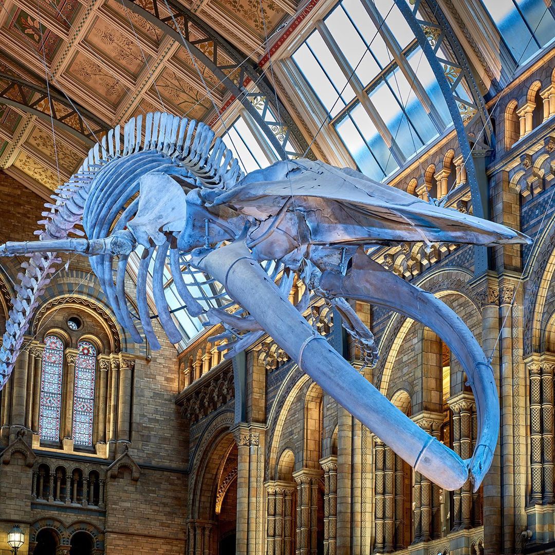 Museos virtuales gratis para visitar desde la comodidad de tu casa