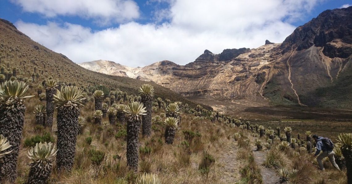 Colombia: ¿Qué tanto sabes de páramos en el país y en el mundo?