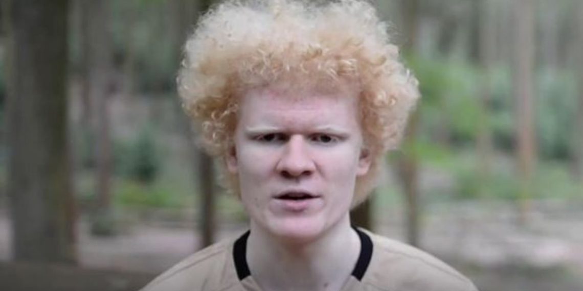 Últimas noticias de Virales en América Digital