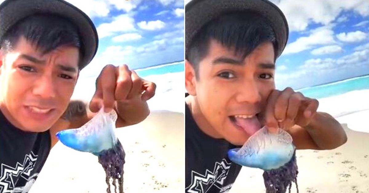 Joven lame extraña criatura "viscosa" sin saber que es un animal peligroso